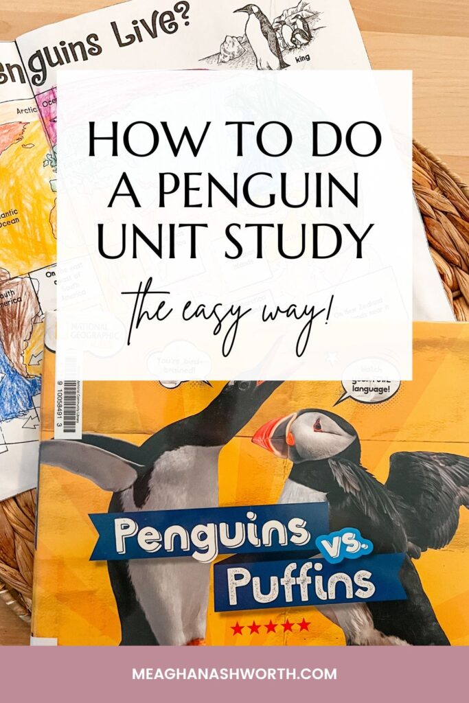 How To Do A Penguin Unit Study - Meaghan Ashworth